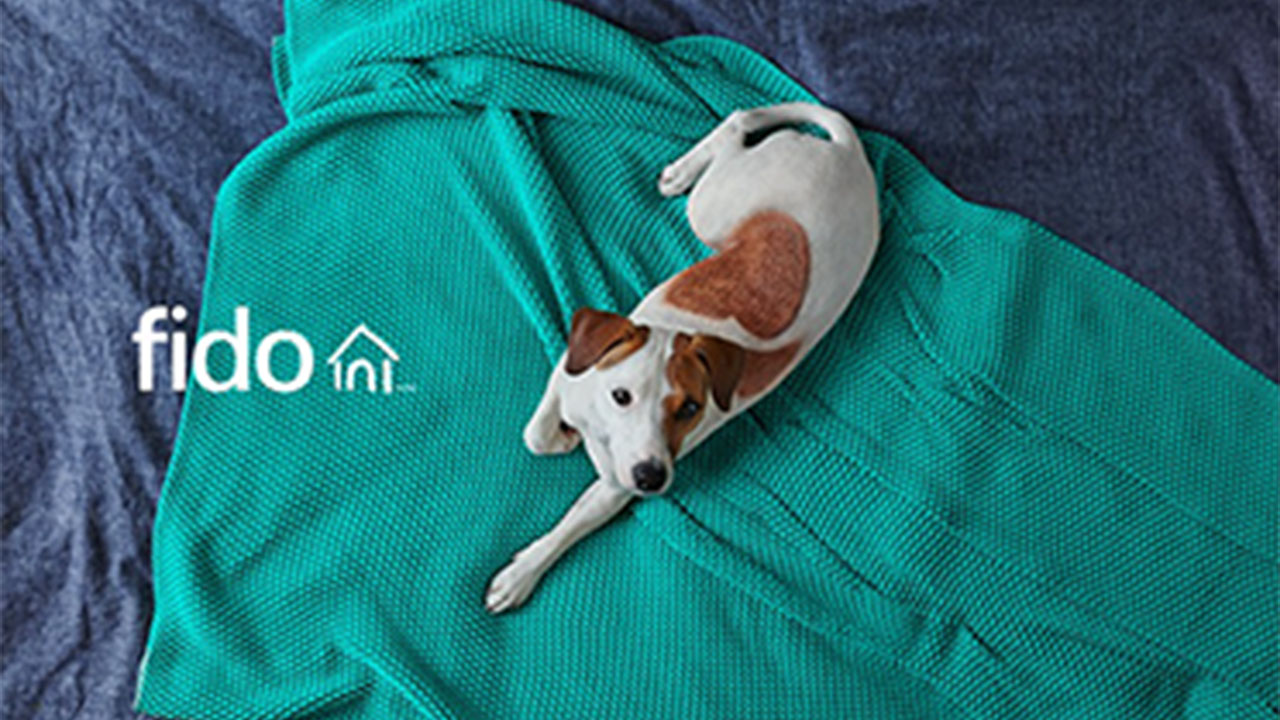 Fido | TikTok for Business Case Study