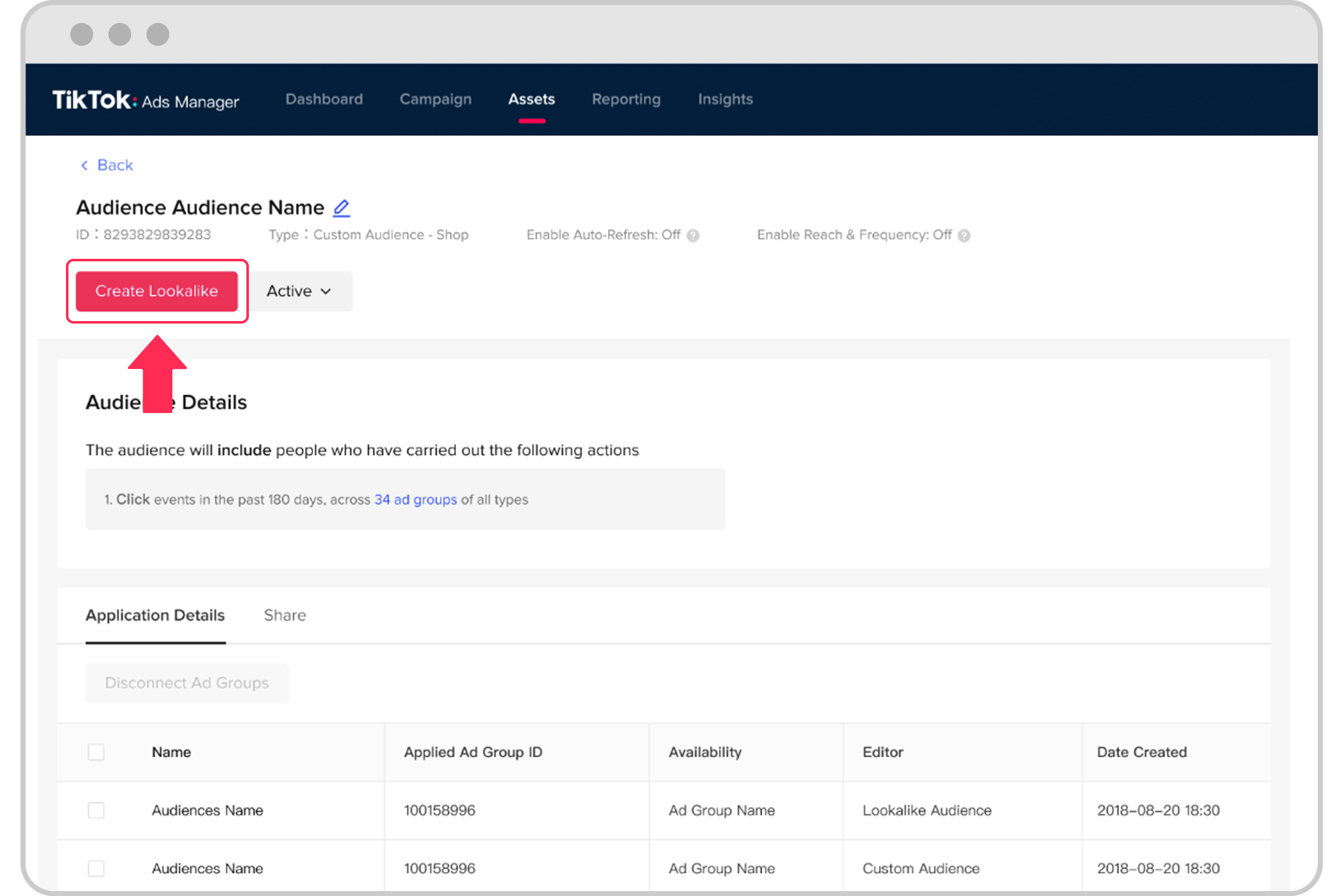 Shop Activity Audience | TikTok Ads Manager