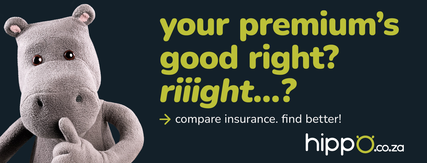 Hippo | TikTok for Business Case Study