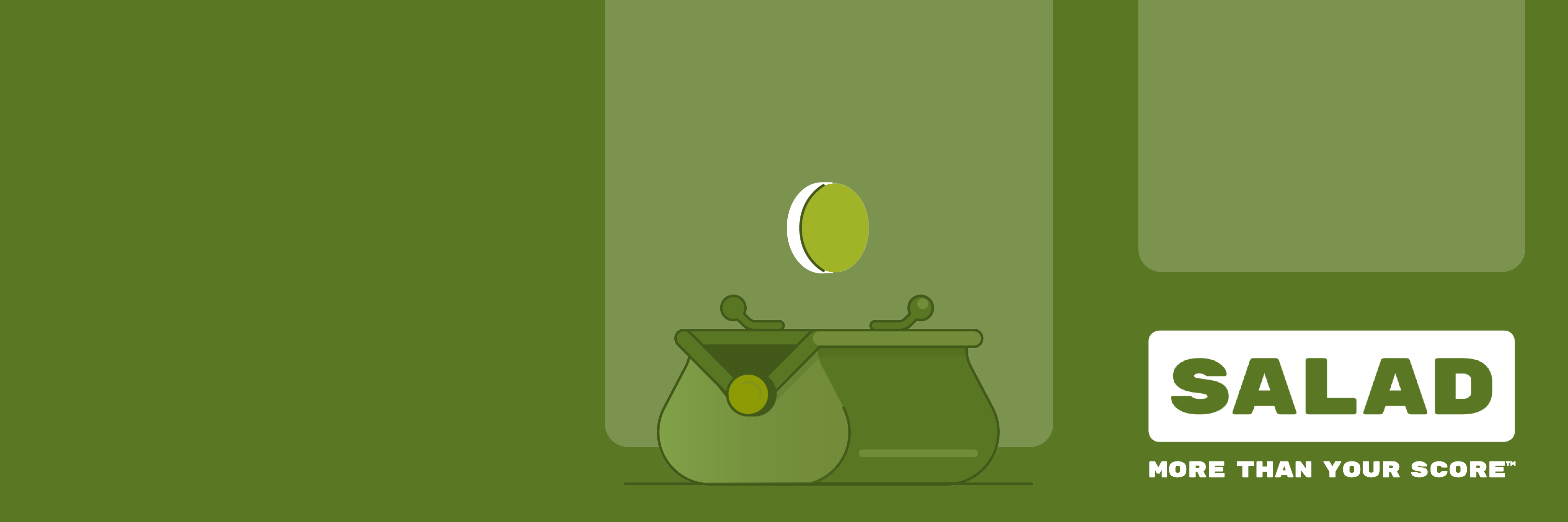 Salad | TikTok for Business Case Study