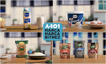 A101 | TikTok for Business Case Study