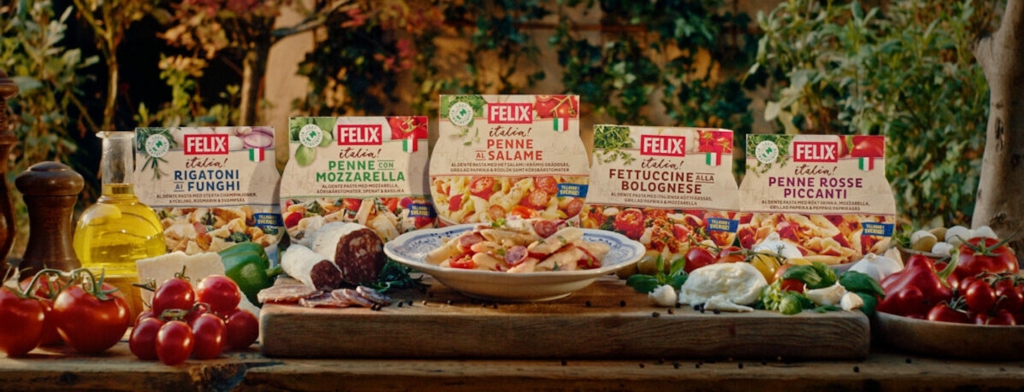 Felix | TikTok for Business Case Study